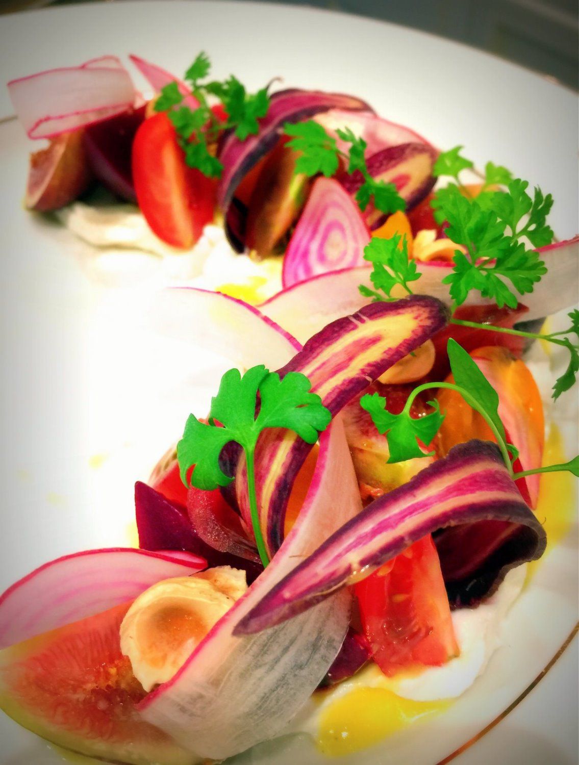 Home - Savore Cuisine