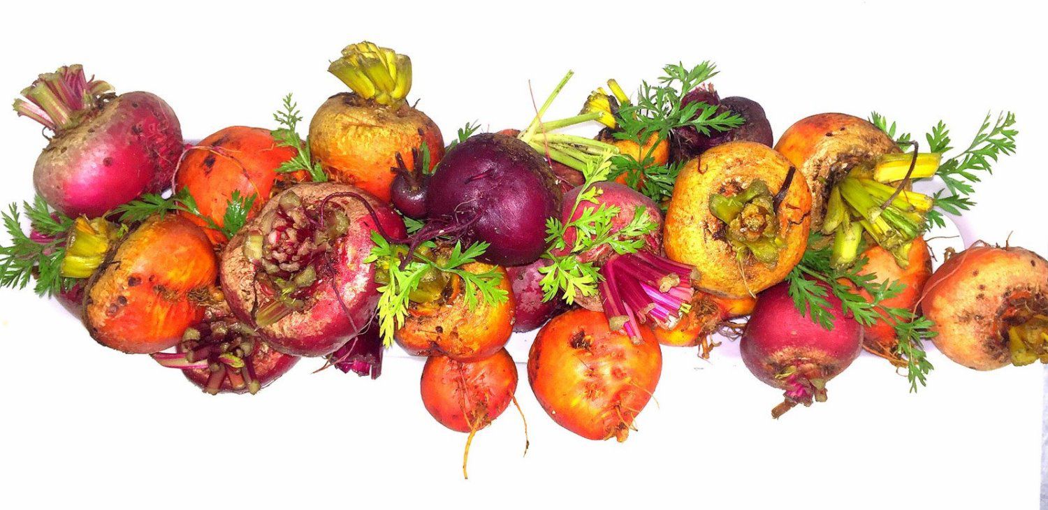 Home - Savore Cuisine