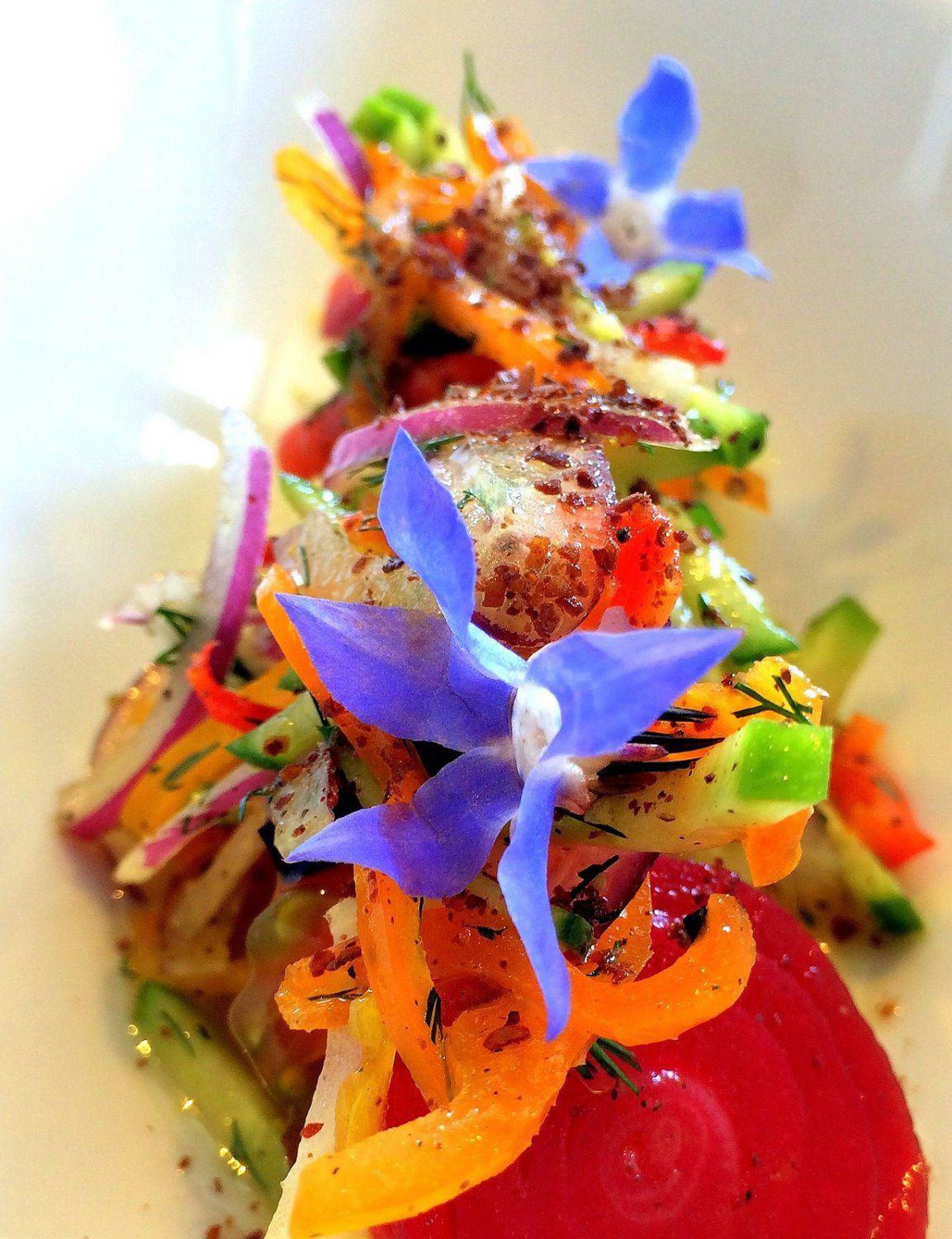 Home - Savore Cuisine