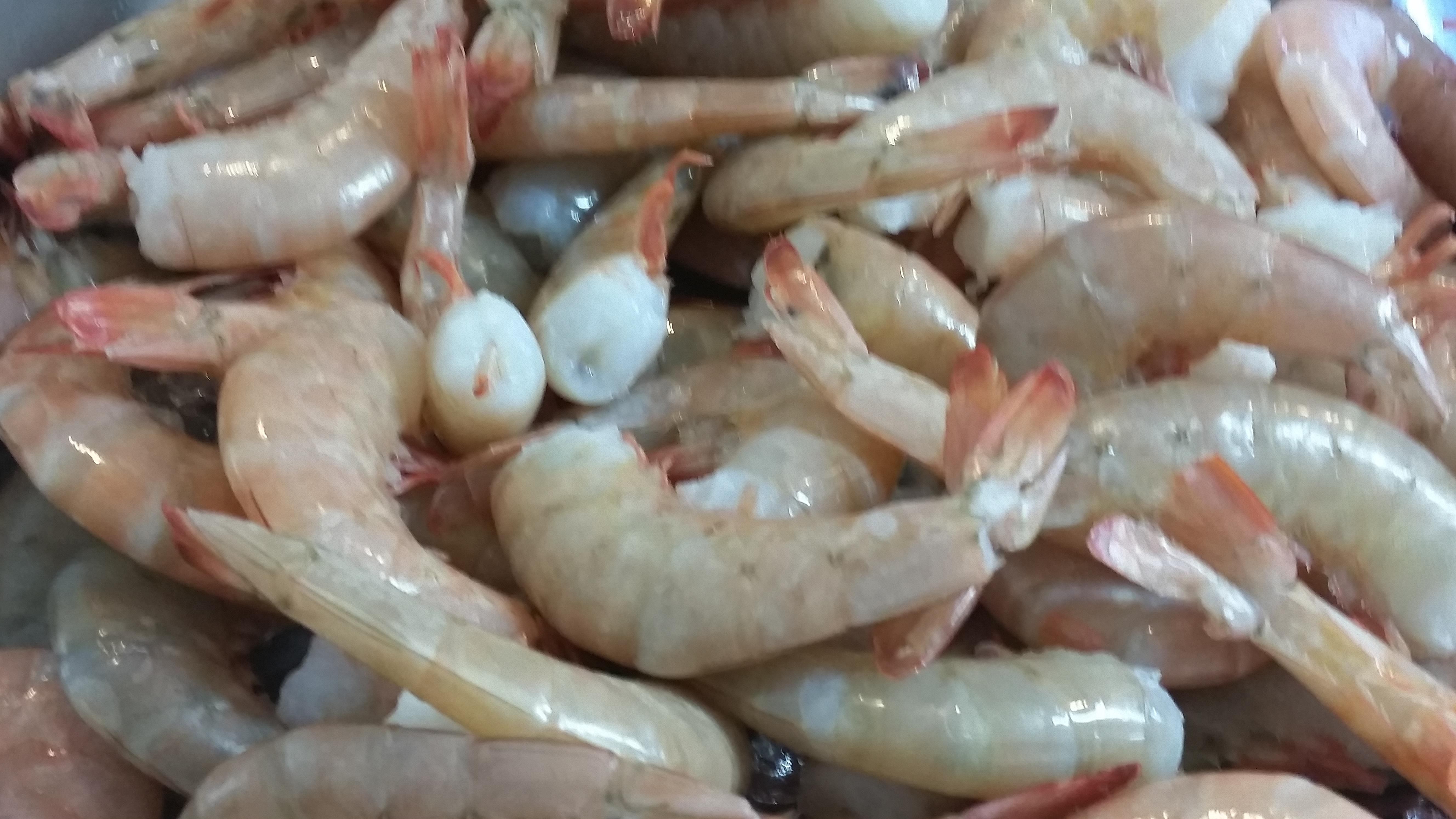 Store - Item Profile - Martin Fish Co. LLC | Ocean City, Maryland 21842