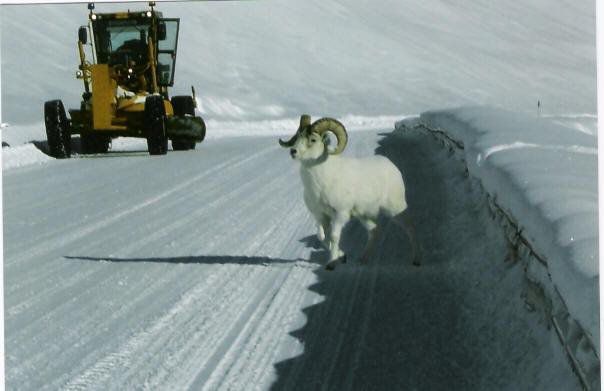 Home - Public Employees Local 71